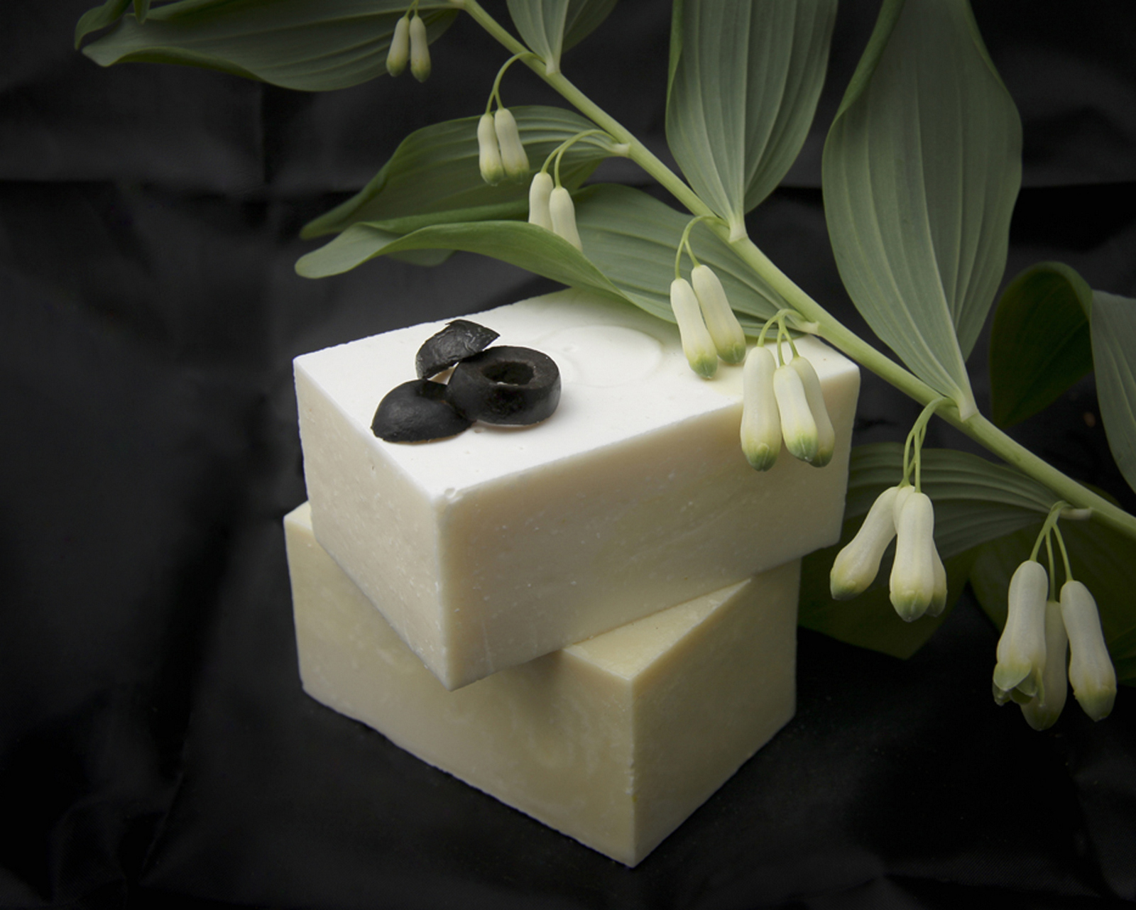 Pure Olive Oil Soap | Olive & Ash